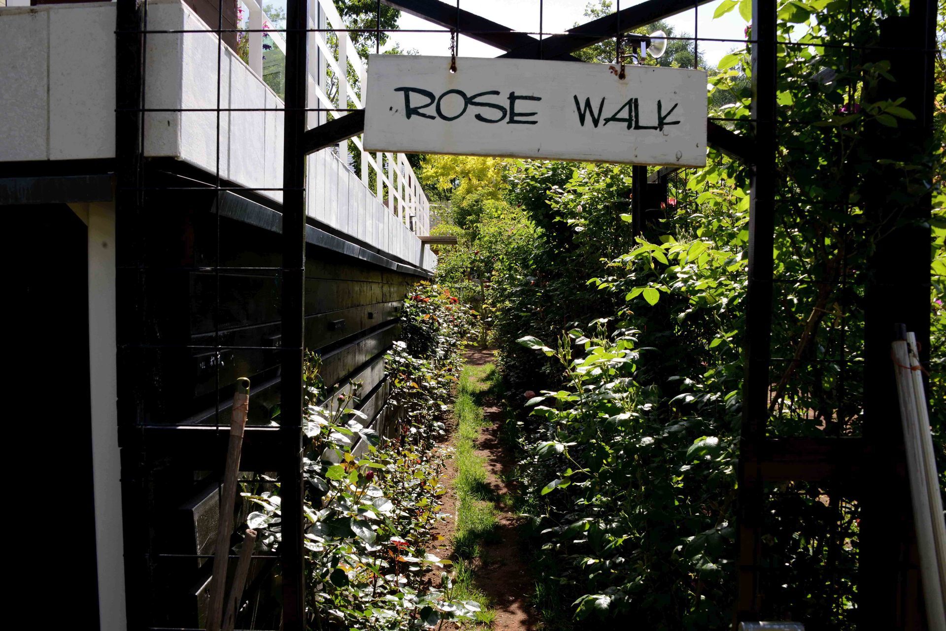 ROSE WALK: まんたけ の記録